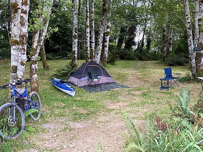 A tent, a kayak, a bicycle, and ferns everywhere. Vista Park campsite goals, honestly.