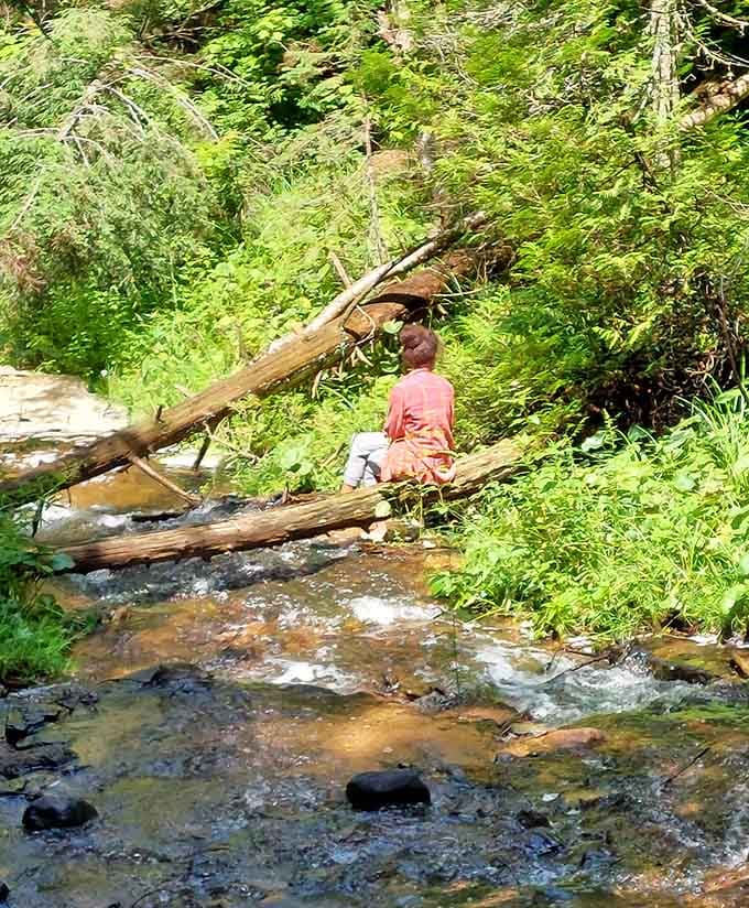 Wagner Creek moves quietly through the forest, building momentum before its big dramatic moment just downstream.