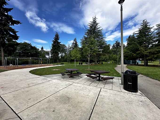Wide concrete paths and open green lawns frame the whole scene, giving the park a welcoming, breathe-easy kind of feeling.