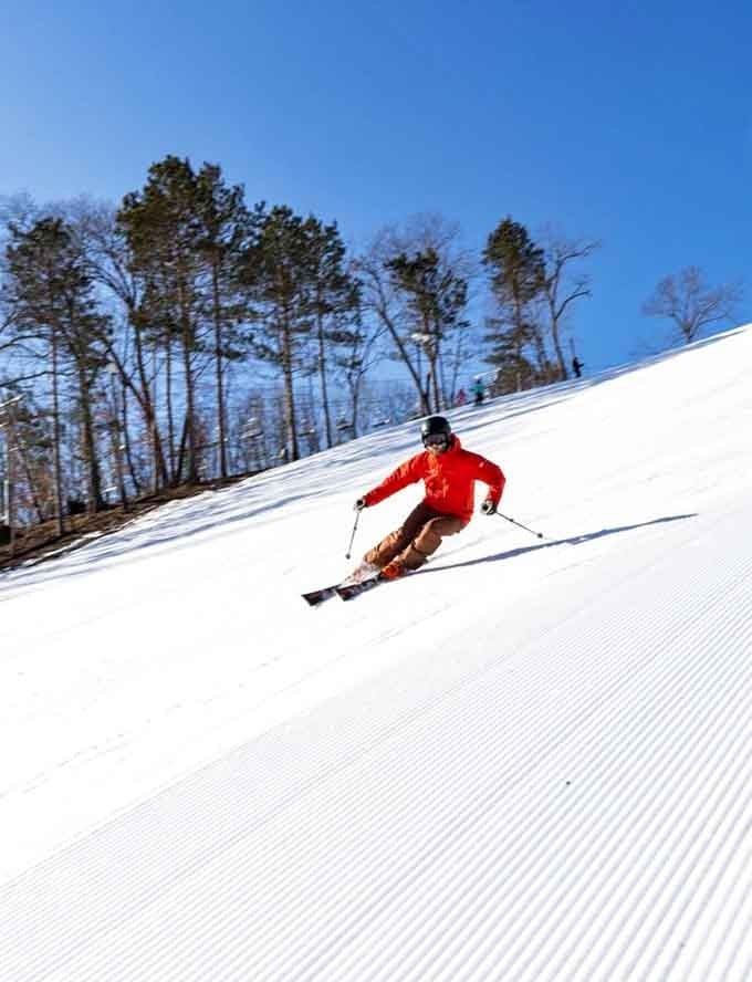 Winter transforms Wild Mountain into a skier's playground where fresh powder meets fresh confidence, or overconfidence.