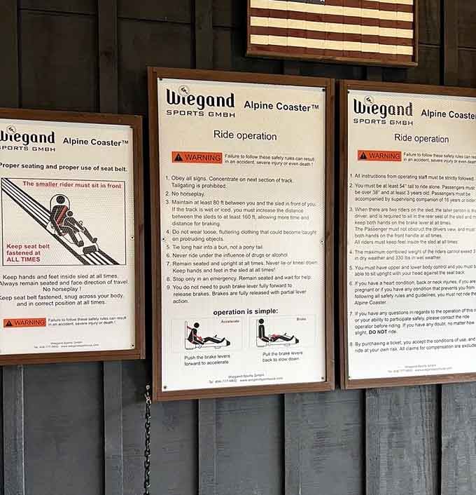 Safety instructions that seem reasonable until you're actually hurtling down a mountain in a cart.