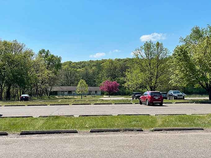 A blooming crabapple tree adds a cheerful pop of pink to the parking area, because even the entrance deserves a little drama.