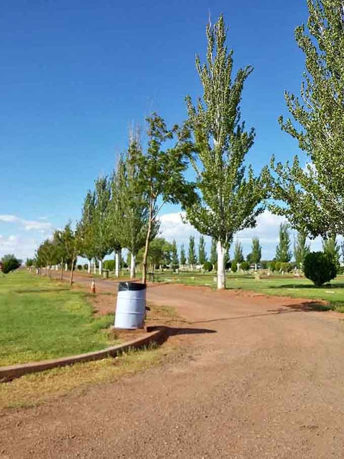 Tree-lined paths, red dirt roads, and wide open sky. Winslow's green spaces are a genuinely pleasant surprise.