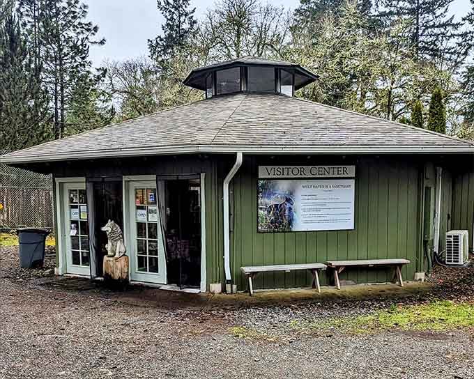 The visitor center welcomes you to begin your journey into understanding these misunderstood and magnificent predators.