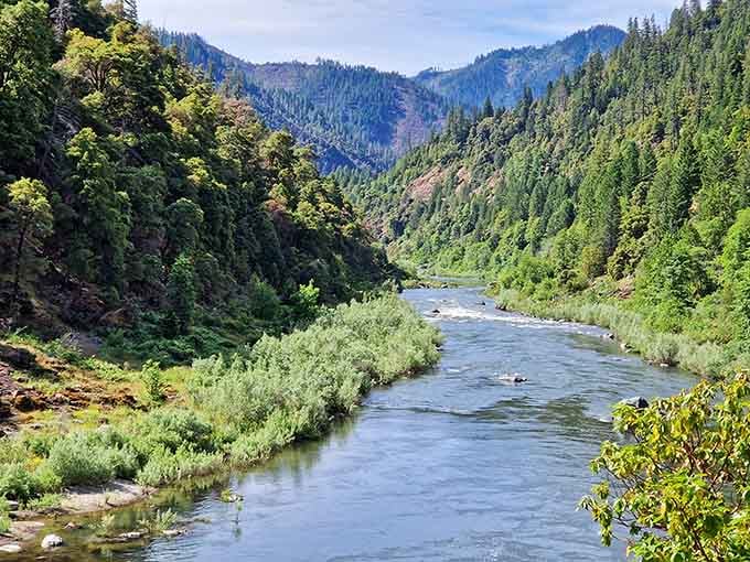 The Klamath River winds through forests so green and dramatic, you'll wonder why you ever paid for a screensaver.