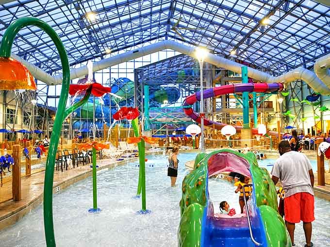 A child shooting out of a colorful slide while the whole park buzzes around them, this is exactly what joy looks like.
