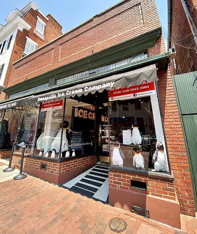 A whole colony of penguin figures in the window of Annapolis Ice Cream Company is the coolest storefront greeting on all of Main Street.