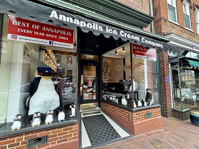 That bold "Best of Annapolis Every Year" banner above the penguin-filled window display says everything about why this beloved shop keeps earning its crown.