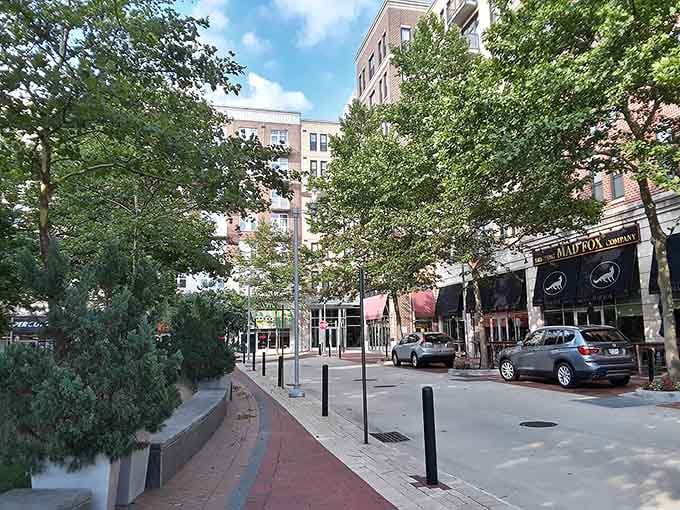 Walk through this bustling plaza lined with modern storefronts, shady green trees, and cozy outdoor dining spots.