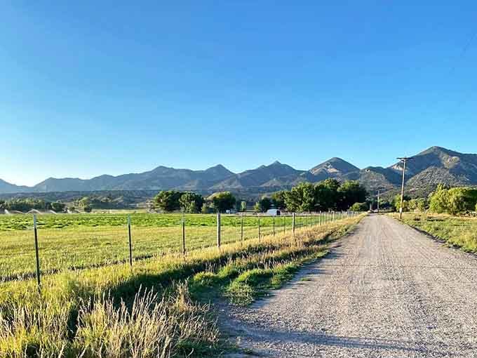 The dirt road leading in promises adventure, while mountains in the distance remind you why Colorado wins everything.