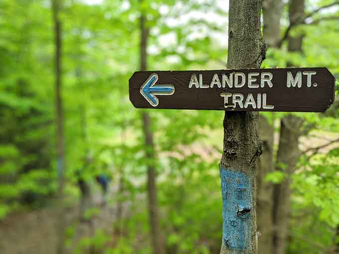 When a simple wooden sign points the way to something this spectacular, you follow it without asking too many questions.