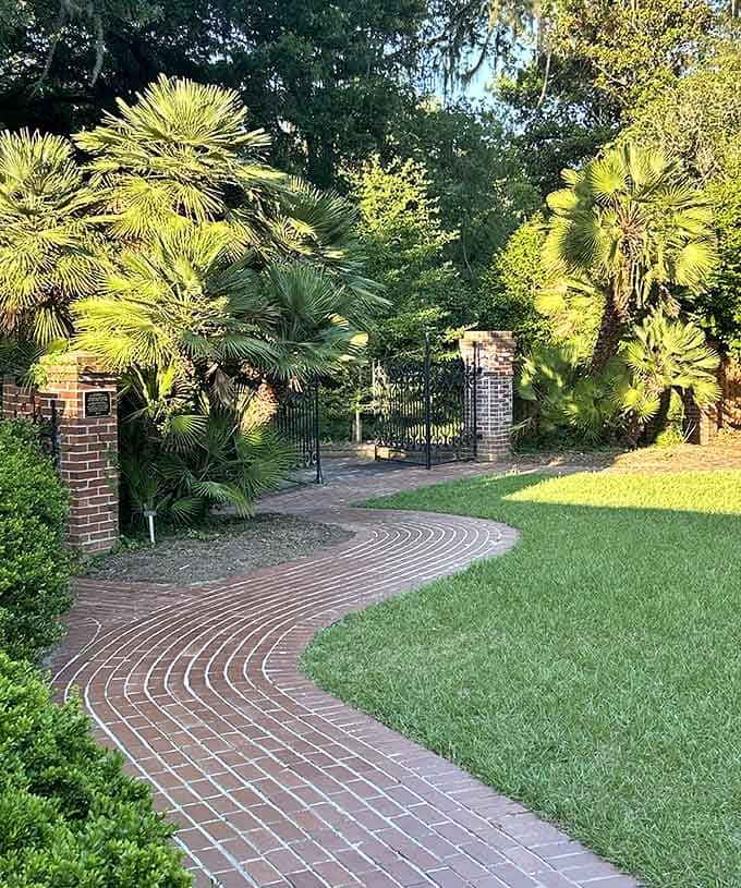 A curved brick path lined with palms and iron gates. Maclay Gardens doesn't just welcome you, it invites you in properly.