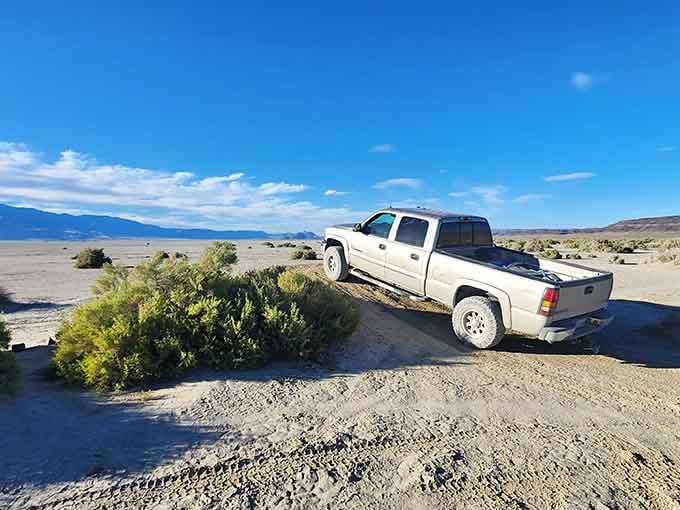 Your truck perched at the desert's edge looks ready to drive straight into the postcard you're currently standing inside of.