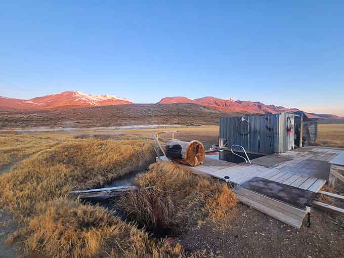 Steens Mountain turning every shade of red and gold at sunrise, doing its absolute best to ruin you for ordinary mornings forever.