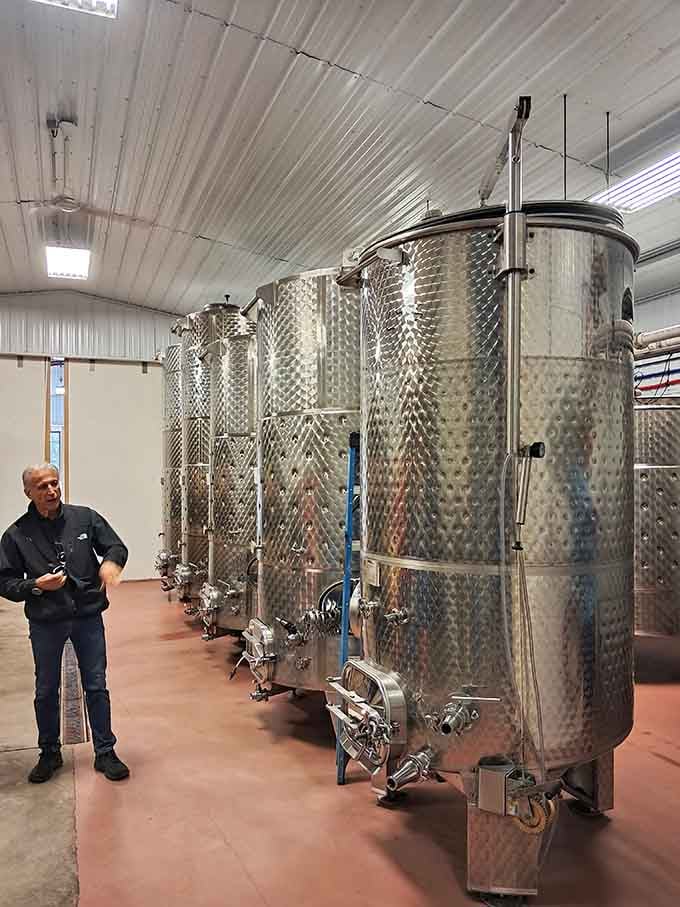Stainless steel fermentation tanks gleaming like a wine lover's version of Willy Wonka's chocolate factory equipment room.
