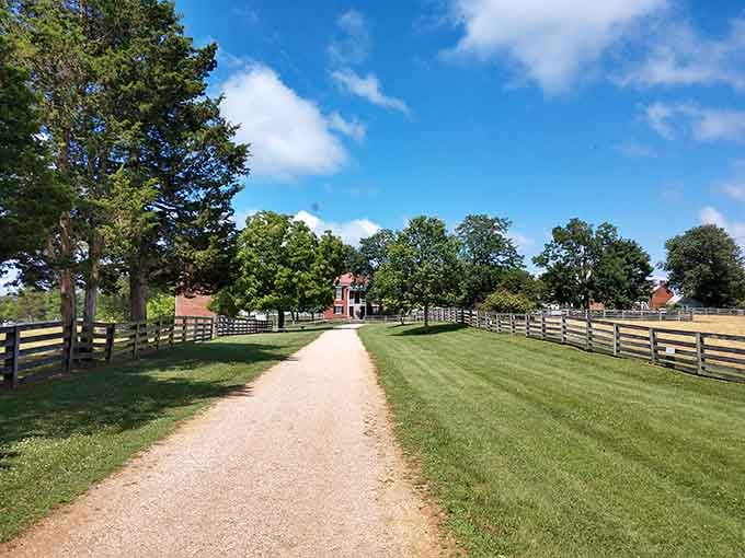 Follow this tree-lined gravel road toward that distant brick building and prepare yourself for a genuinely moving experience.