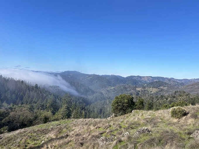 From the ridges above Austin Creek, the whole magnificent landscape opens up and reminds you why California is genuinely extraordinary.