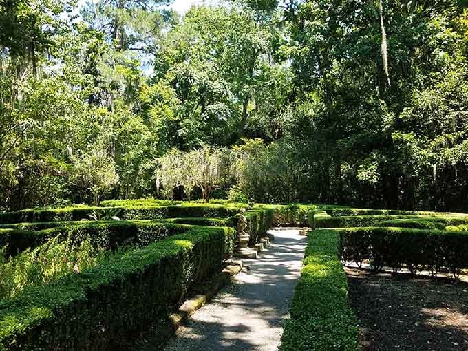 Neatly trimmed hedges meet wild Spanish moss overhead, where the formal garden and the untamed swamp quietly agree to coexist.