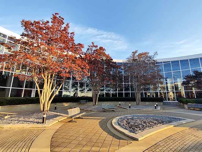 Even the outdoor spaces here are designed with German precision, offering peaceful spots between automotive marvels inside.
