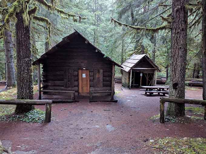 A quiet log cabin and picnic shelter sit among the trees, simple and completely without pretense.