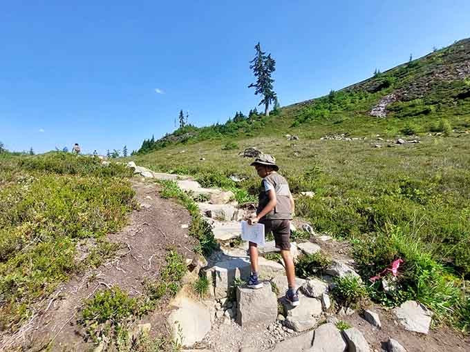 Young explorer conquering stone steps on the trail. The mountains don't care how old you are.