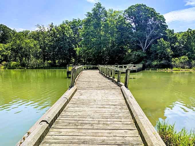 This boardwalk stretches out over calm green water like an open invitation, and honestly, how do you say no to that?