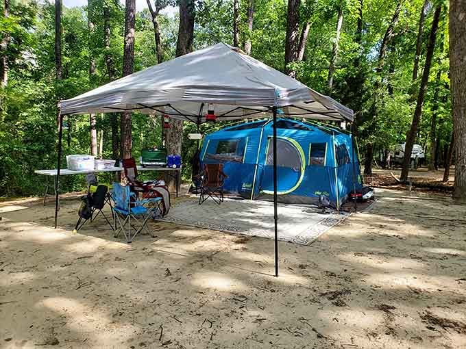 A blue tent, a canopy, camp chairs, and the whole green forest as your backyard. This is glamping's more honest, down-to-earth cousin.