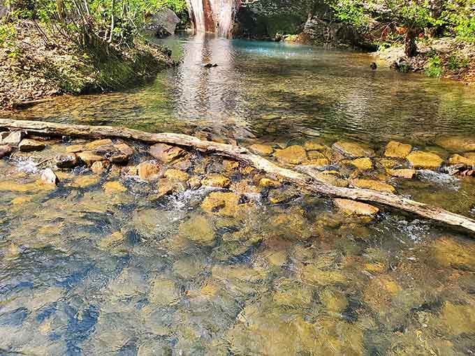 Where the waterfall meets the pool, Illinois stops pretending it isn't absolutely stunning.