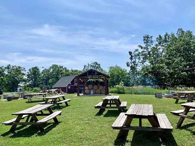 Rows of picnic tables on a sunny lawn with a red barn in the background. Summer in Michigan, bottled perfectly.