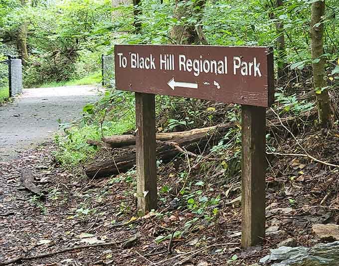 Follow the sign, trust the arrow, and let Black Hill Regional Park do the rest.