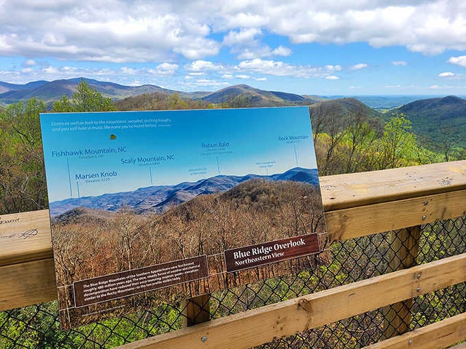 When the mountain itself hands you a labeled map of what you're seeing, you know you're somewhere special.