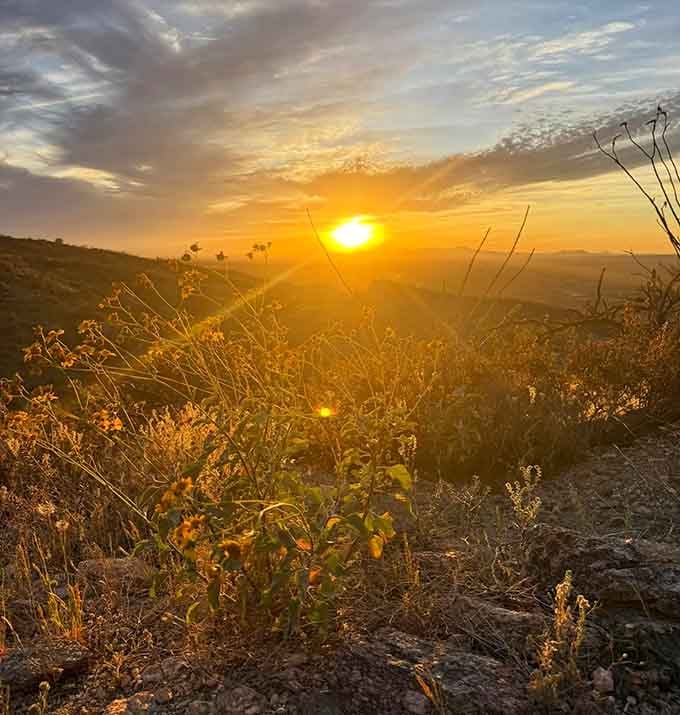 Golden hour over the Catalina Mountains paints the perfect ending to a day spent discovering Tucson's most enchanting secret.