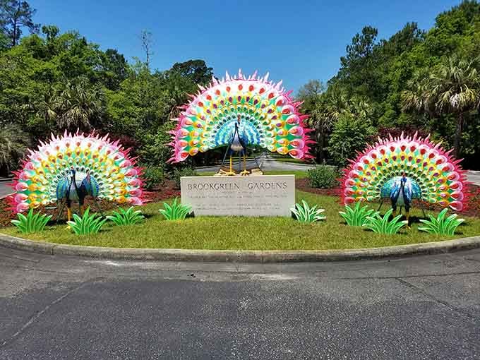 The entrance announces itself with colorful peacock sculptures that promise the magic waiting just beyond those gates.