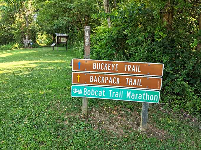 Trail options spread before you like a choose-your-own-adventure book, each path promising its own rewards.