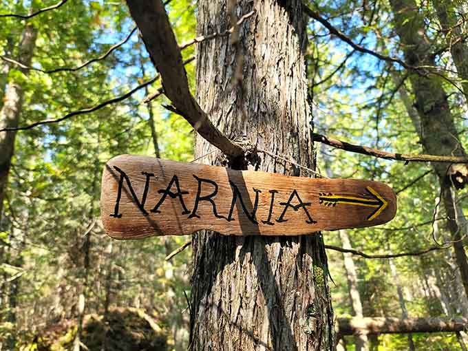 Someone carved "Narnia" into wood and nailed it to a tree, and honestly, they weren't wrong.