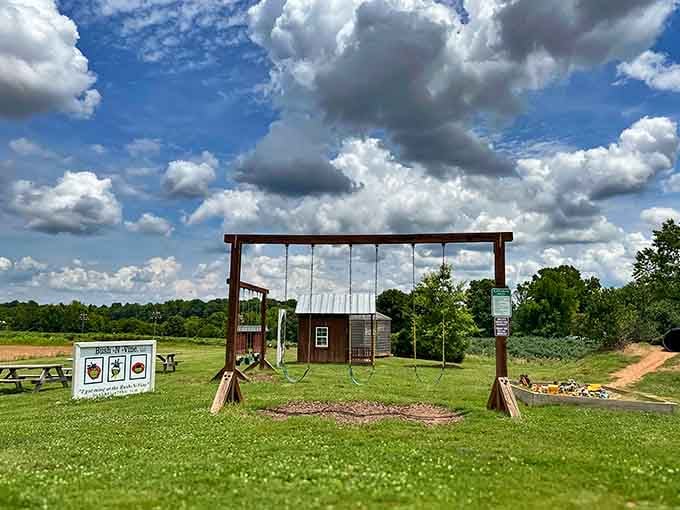 A wooden swing set, open green grass, and big Carolina clouds overhead. This is what a perfect afternoon looks like.