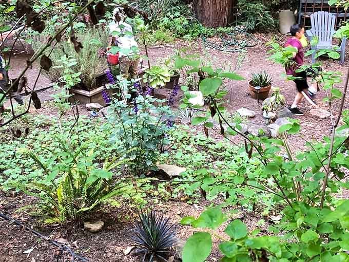 A lush, layered garden tucked into the forest proves that beauty grows best when nobody's rushing it along.