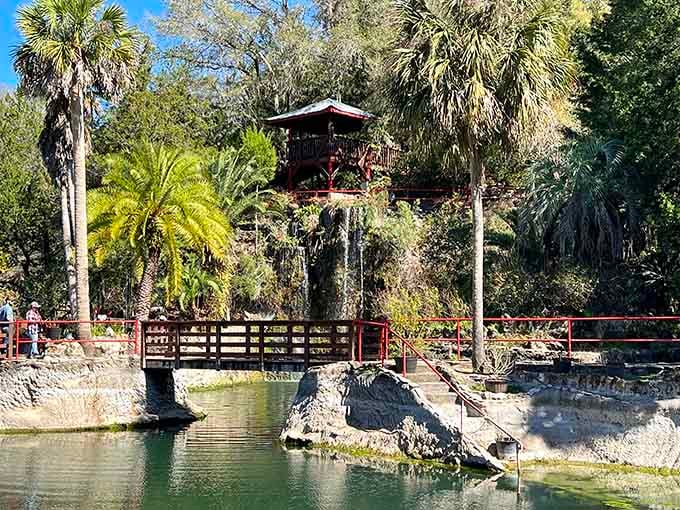 The pagoda tower, the waterfall, the palms. Cedar Lakes delivers scenery that earns a long stare.
