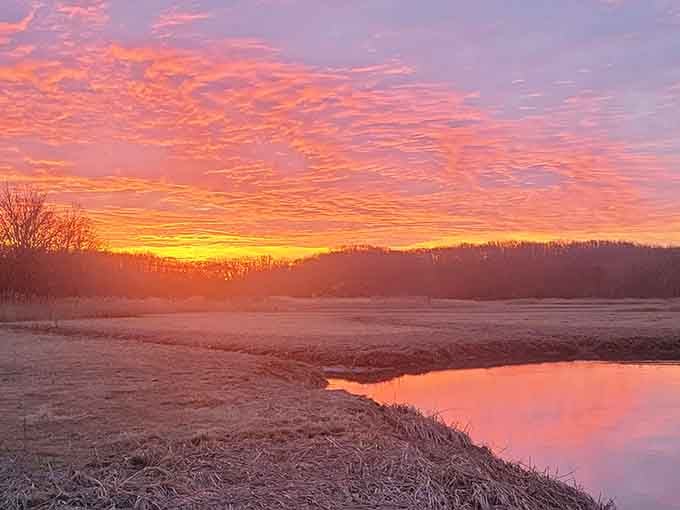 When Cheesequake State Park decides to put on a sunset, it does not hold anything back whatsoever.