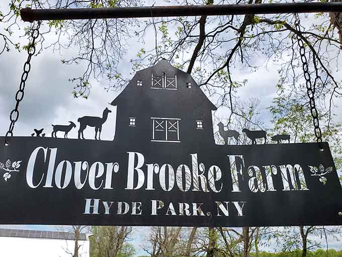 The sign that started it all. Simple, elegant, and hanging from a tree like it's always belonged there.