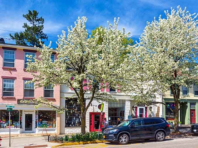 When the trees bloom on Main Street, Cold Spring stops looking like a town and starts looking like a dream.