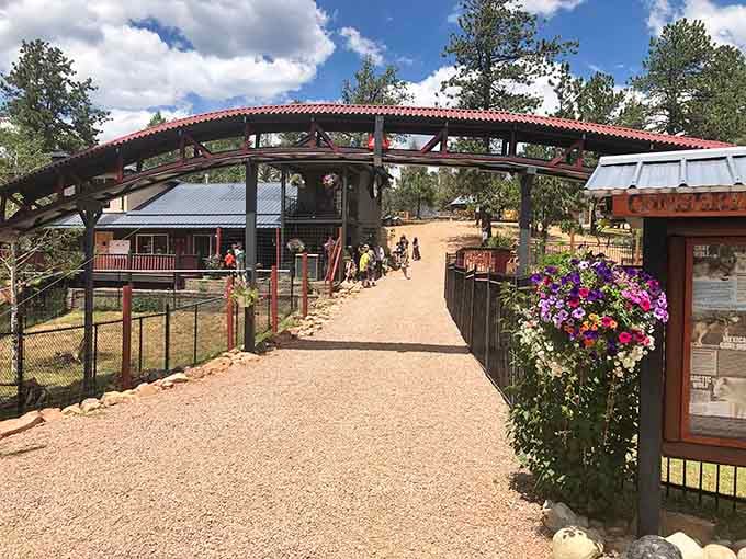 The welcoming entrance adorned with flowers, because even wolf sanctuaries appreciate a touch of mountain hospitality charm.