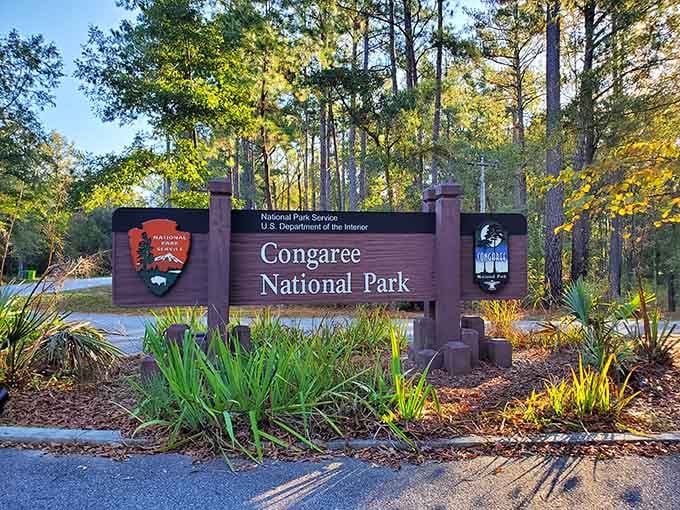 The Congaree National Park sign marks the entrance to one of America's most underrated natural treasures.