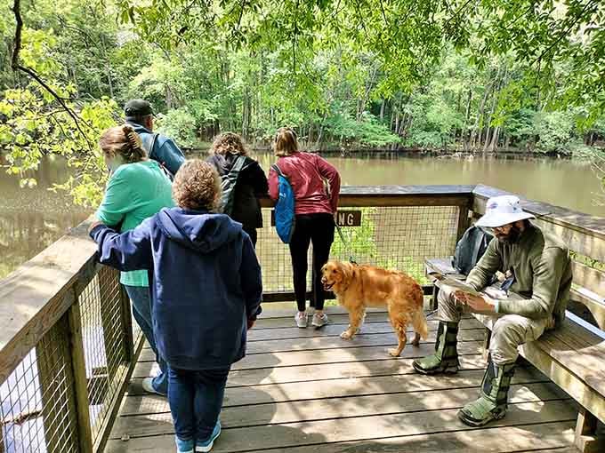 A golden retriever, a ranger, and a group of friends gathered at the overlook, all equally captivated.