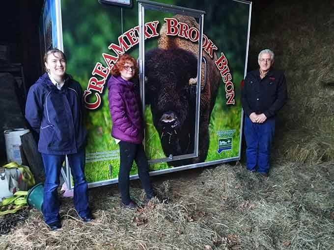 Three people, a barn full of hay, and a larger-than-life bison staring from the trailer. This is the Creamery Brook Bison crew.