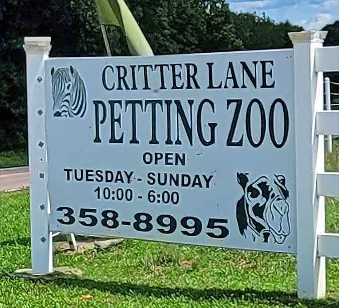 Open Tuesday through Sunday, and that zebra silhouette on the sign means this place is already more exciting than your Monday.
