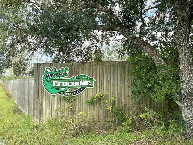 That bold green Crocodile Encounter sign peeking through the oak trees is your first clue that something genuinely wild is waiting inside.