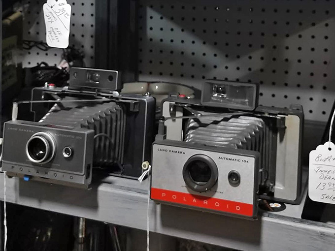 Two classic Polaroid Land Cameras sitting side by side, proof that some designs never really go out of style.