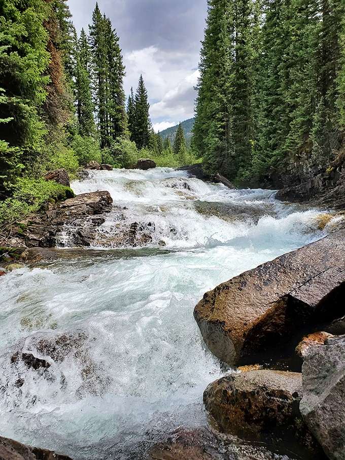 The Crystal River lives up to its name, rushing clear and cold over stones in endless motion.