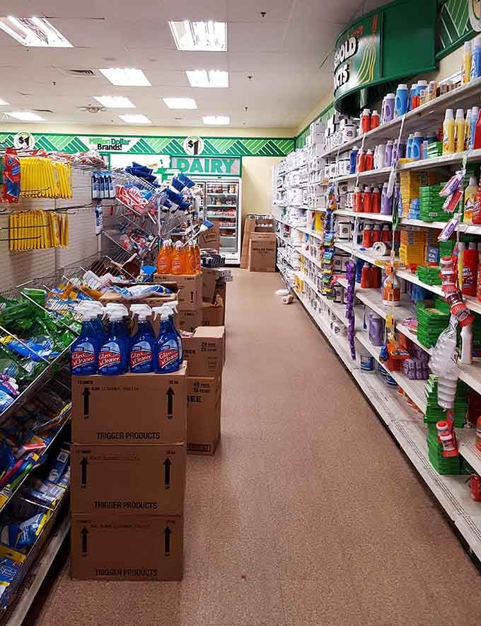 A full wall of cleaning supplies standing at attention, colorful and ready, like a very cheerful army of household helpers.